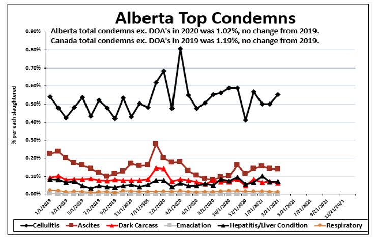 Market Information | Alberta Chicken Producers Recipes and Industry ...